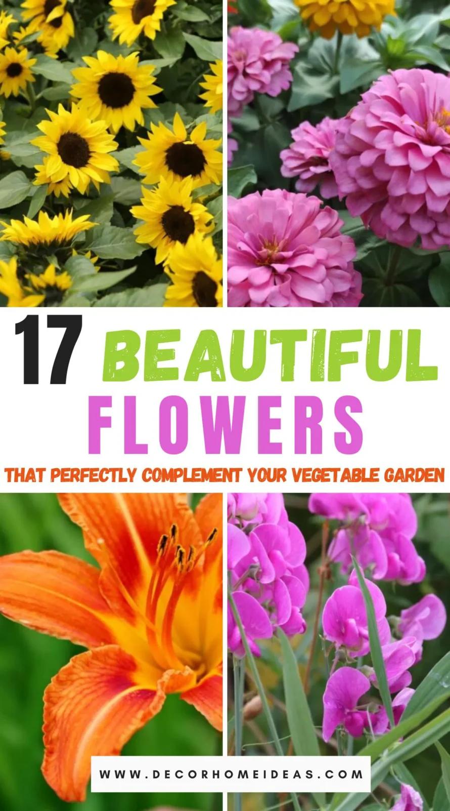 17 impresionantes flores que complementan a la perfección tu huerto ...
