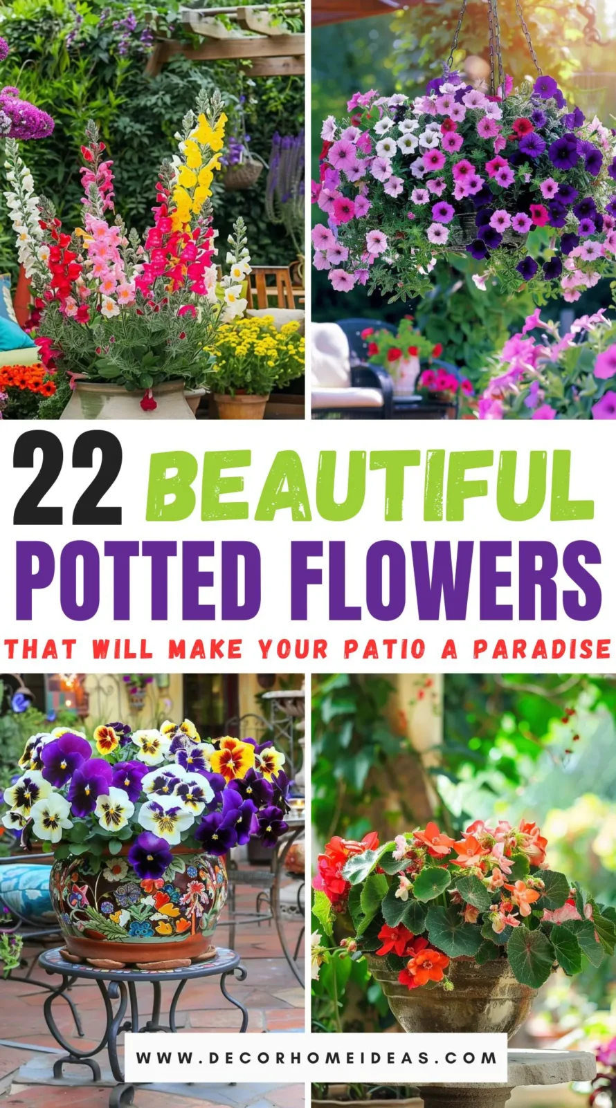 22 preciosas flores en maceta que harán de tu patio un refugio ...